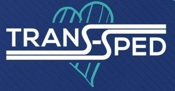 IDÉN IS A TOP 25 SZERETHETŐ NAGYVÁLLALAT KÖZÖTT A TRANS-SPED! | Trans-Sped